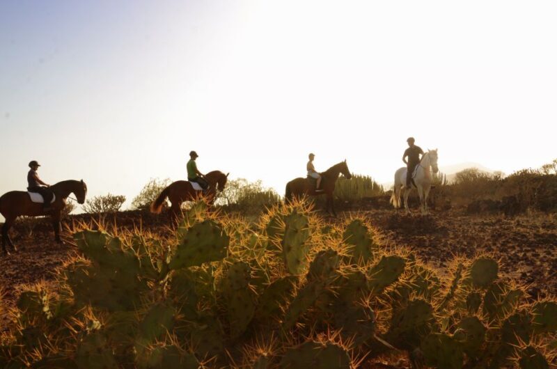 Tenerife: Horseback Ride with Instructor - Exploring Tenerife on Horseback: An In-Depth Review