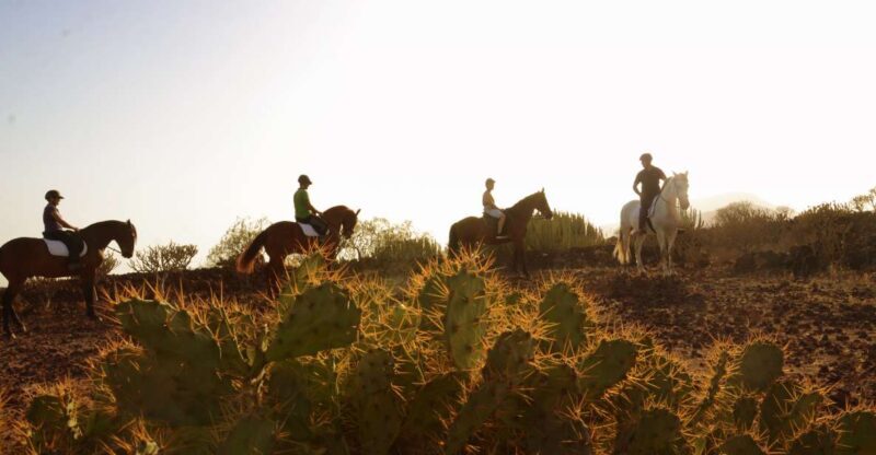 Tenerife: Horseback Ride with Instructor - FAQ