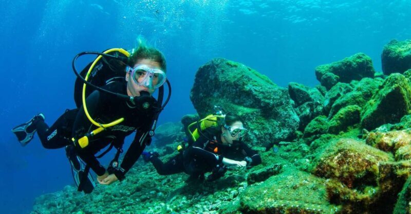 Tenerife: Introductory Dive for Cruise Ship Passengers - What to Expect from Your Tenerife Beginner Dive