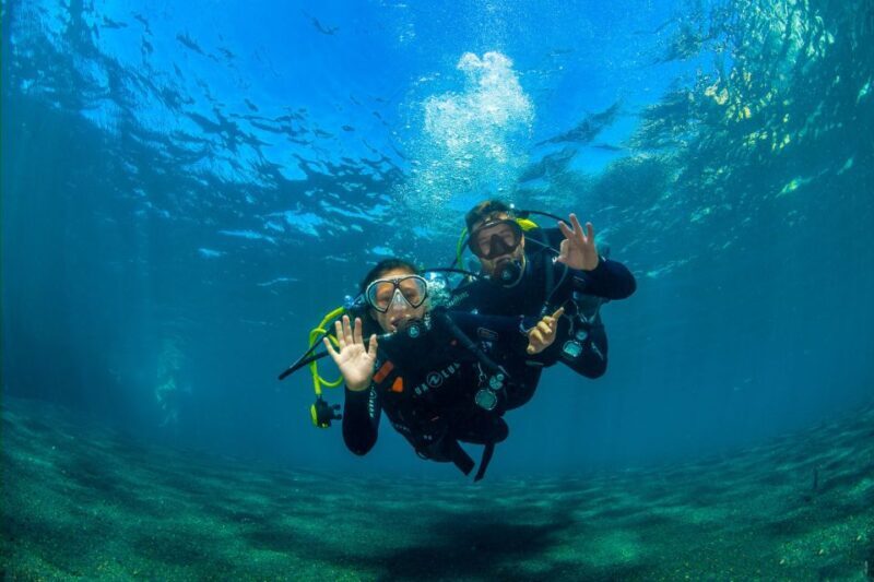 Tenerife: Introductory Dive for Cruise Ship Passengers - Cost and Value Analysis