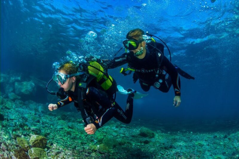 Tenerife: Introductory Dive for Cruise Ship Passengers - Practical Tips for Participants