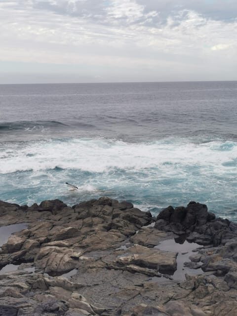 Tenerife Island, The Best Day Tour FOR CRUISE PASSENGERS - Who Is This Tour Best For?