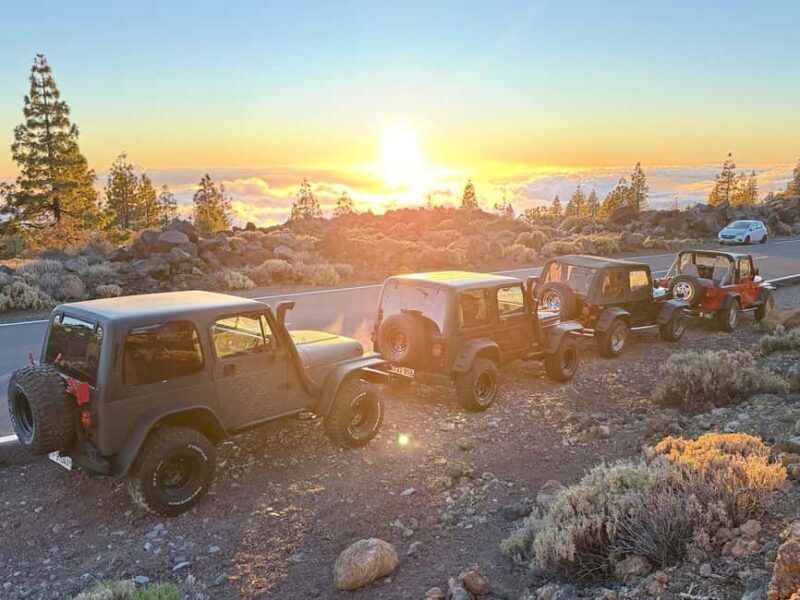 Tenerife: Jeep Wrangler Tour to Mount Teide, Day and Sunset - Driving Experience and Vehicle Details