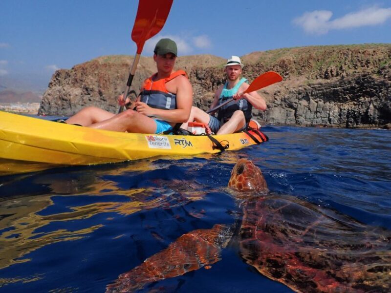 Tenerife: Kayak and Snorkel with Turtles, Wetsuits Included - The Itinerary and Its Value