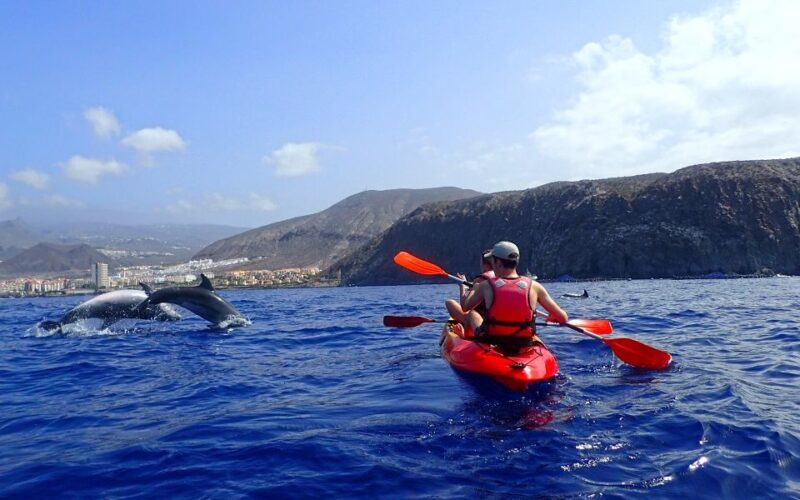 Tenerife: Kayak and Snorkel with Turtles, Wetsuits Included - Practical Aspects: What You Need to Know
