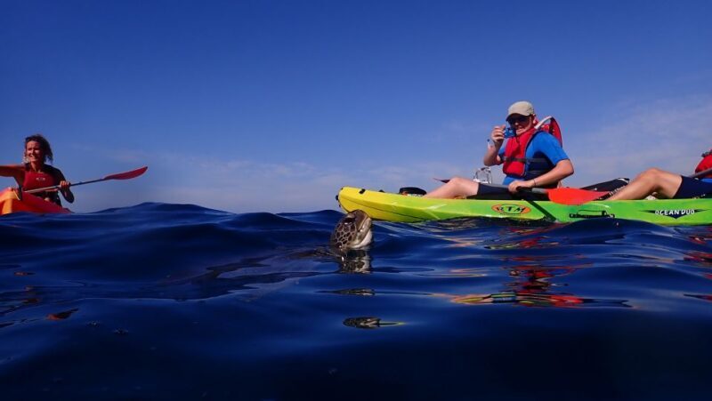 Tenerife: Kayak and Snorkel with Turtles, Wetsuits Included - Who Will Love This Tour?