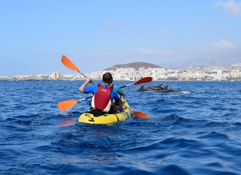 Tenerife: Kayak and Snorkel with Turtles, Wetsuits Included - FAQ