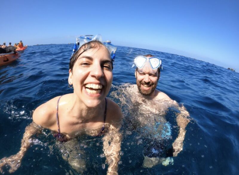 Tenerife: Kayak Safari and Sea Turtle Snorkeling with Photos - FAQ
