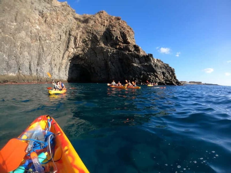 Tenerife: Kayak & Snorkel Tour with Snacks & Sea Life Safari - The Experience in Detail