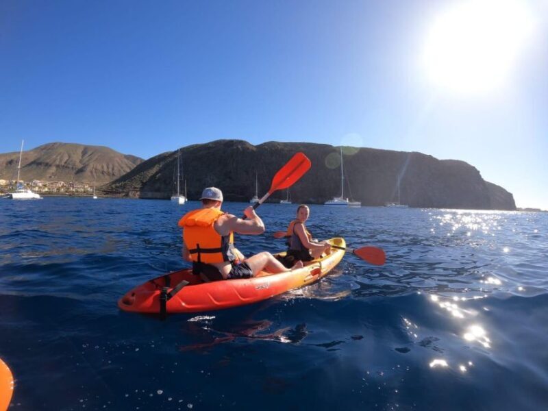 Tenerife: Kayak & Snorkel Tour with Snacks & Sea Life Safari - Authentic Experiences and Review Highlights
