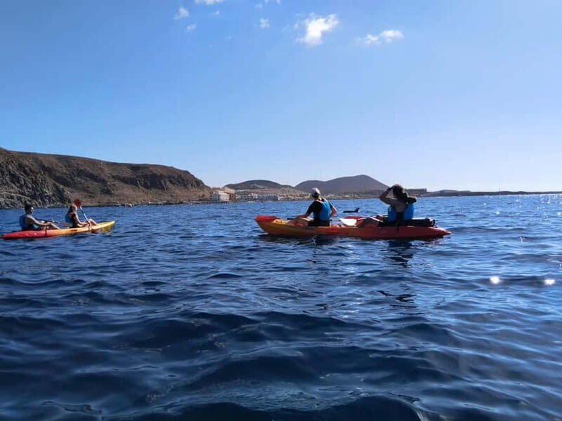 Tenerife: Kayak & Snorkel Tour with Snacks & Sea Life Safari - Who’s This Tour Best For?