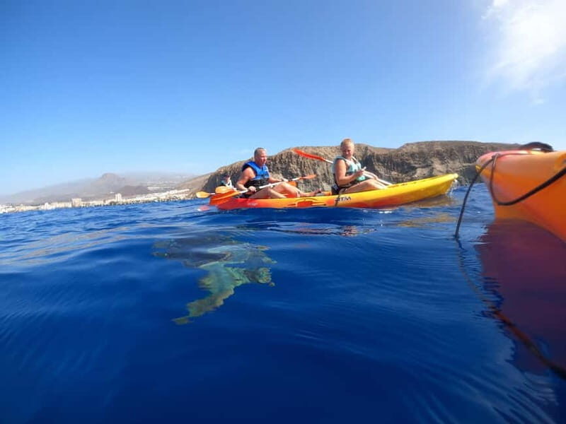 Tenerife: Kayak & Snorkel Tour with Snacks & Sea Life Safari - Final Thoughts