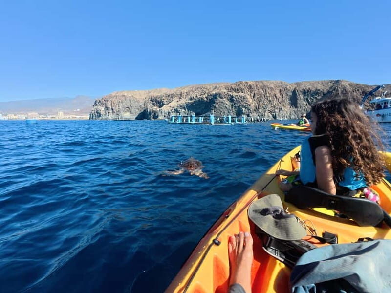 Tenerife: Kayak & Snorkel Tour with Snacks & Sea Life Safari - FAQ