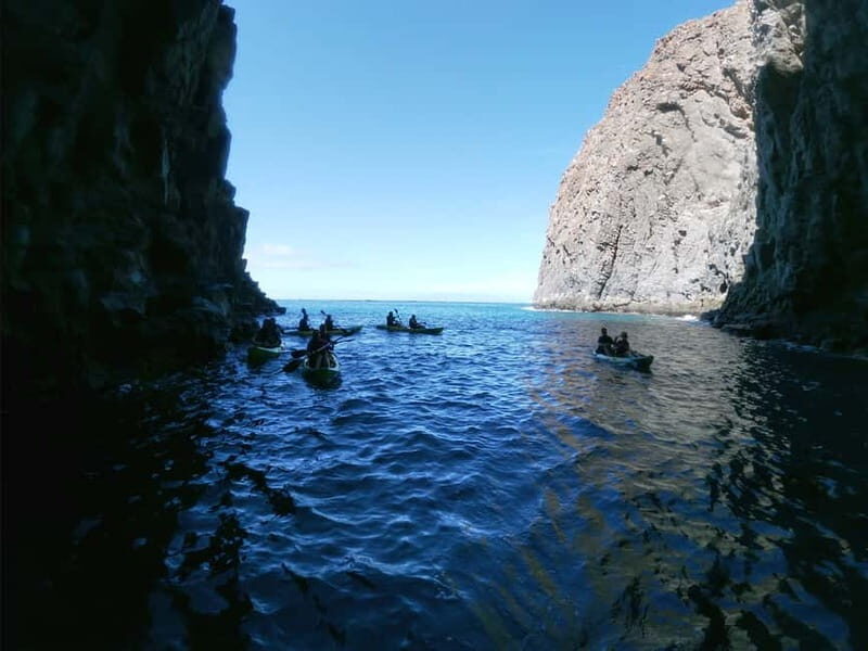 Tenerife: Kayak & Snorkel with Turtles & Dolphins w/Photos - A Full Breakdown of the Experience