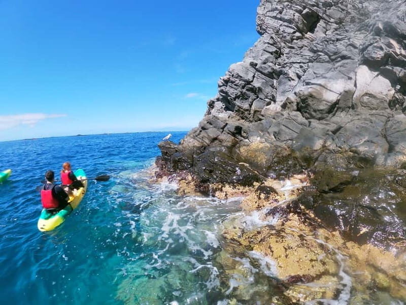 Tenerife: Kayak & Snorkel with Turtles & Dolphins w/Photos - Authentic Encounters and Review Highlights