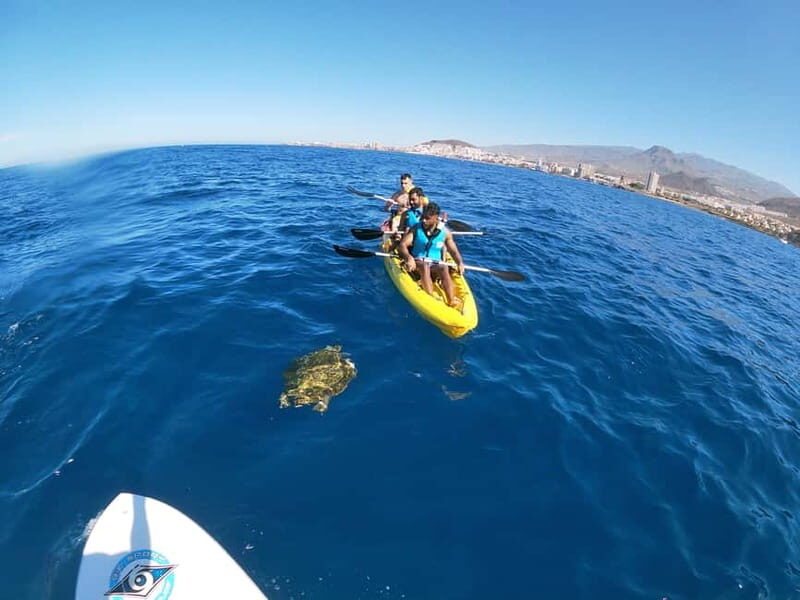 Tenerife: Kayak & Snorkel with Turtles & Dolphins w/Photos - Who Should Consider This Tour?