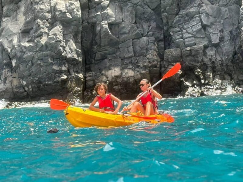 Tenerife: Kayak & Snorkeling, Marine Fauna Watching - The Sum Up
