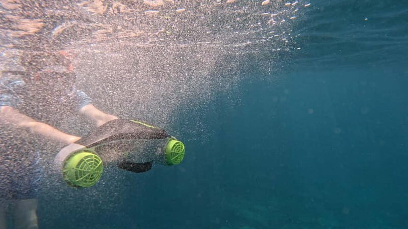 Tenerife: kayak tour with animals and underwater scooters - Key Points