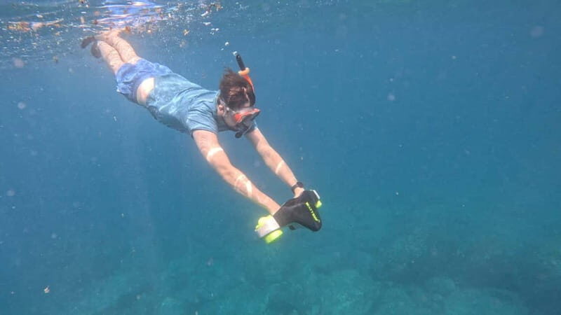 Tenerife: kayak tour with animals and underwater scooters - The Experience in Detail
