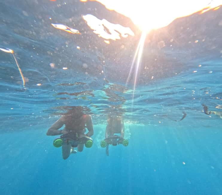 Tenerife: kayak tour with animals and underwater scooters - The Sum Up