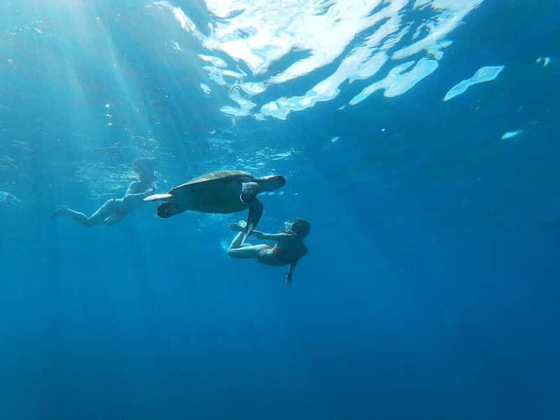 Tenerife: Kayaking and Snorkeling Tour for Groups - Key Points
