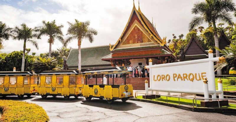 Tenerife: Loro Parque & Siam Park Entry Ticket with Transfer - Key Points