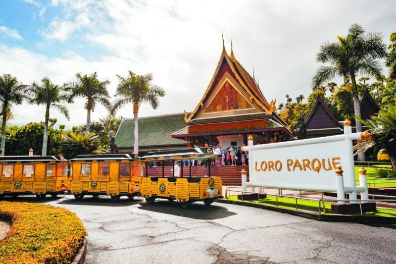 Tenerife: Loro Parque & Siam Park Entry Ticket with Transfer - The Sum Up: Is it Worth It?