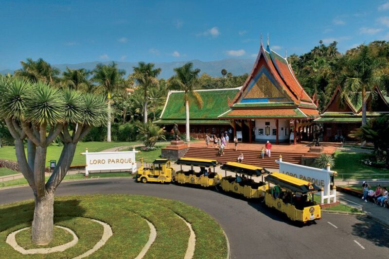 Tenerife: Loro Parque & Siam Park Entry Ticket with Transfer - FAQ