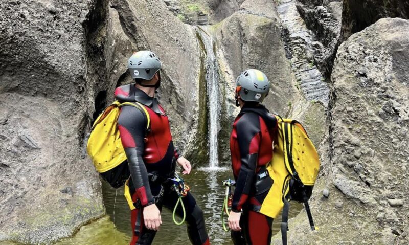 Tenerife: Los Carrizales Water Canyoning Tour - Key Points
