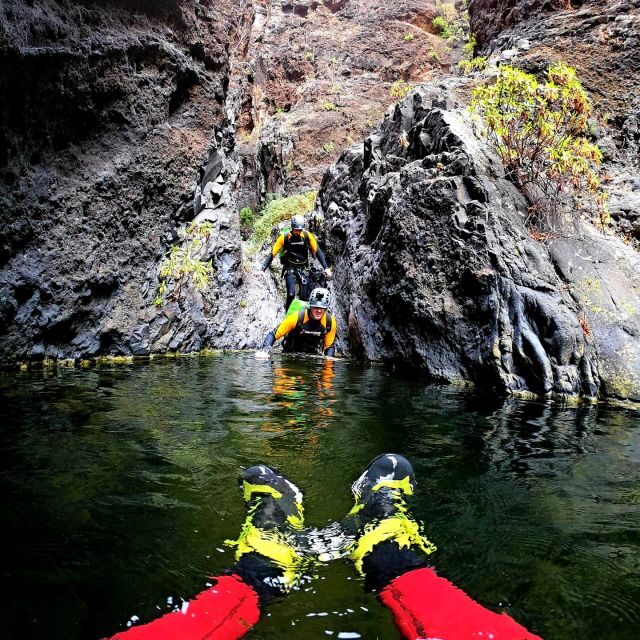 Tenerife: Los Carrizales Water Canyoning Tour - Who Should Consider This Tour?