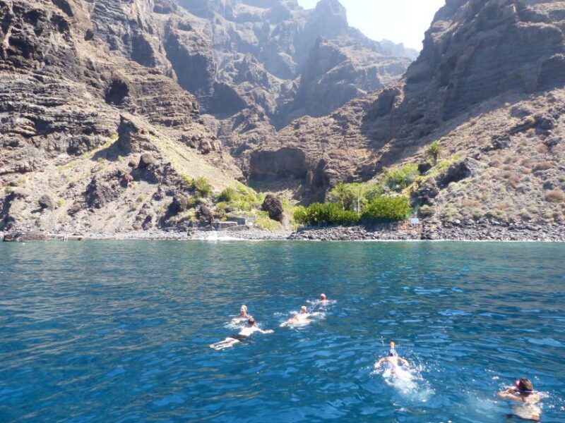 Tenerife: Los Gigantes Whale Watching Cruise by Sail Boat - What Reviewers Are Saying