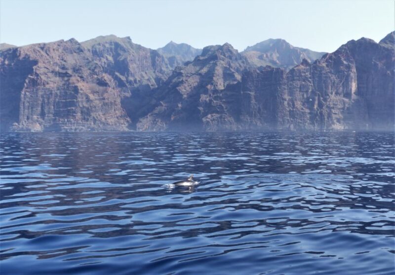 Tenerife: Los Gigantes Whale Watching Cruise by Sail Boat - The Sum Up