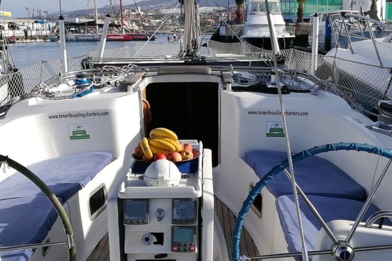 Tenerife: Luxury Private Whale & Dolphin Watching Tour - Key Points