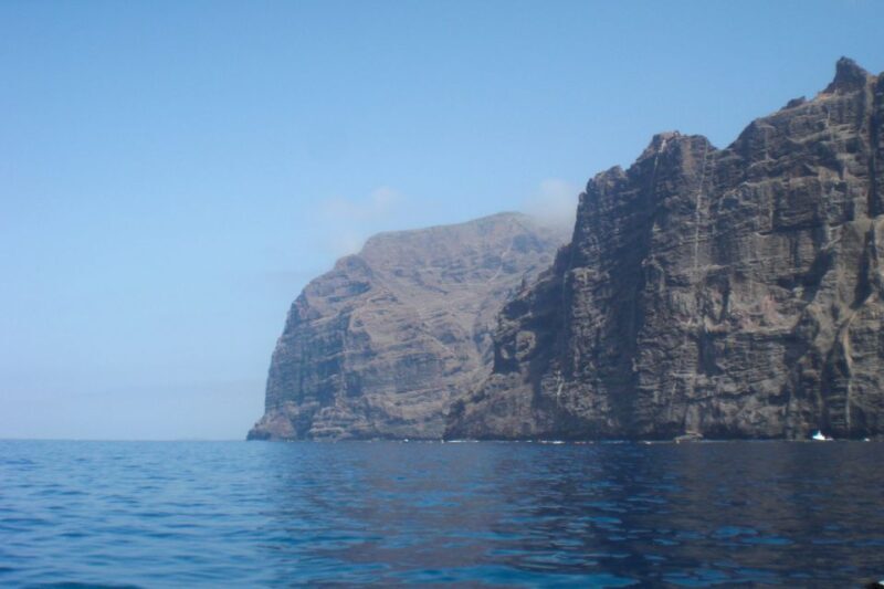 Tenerife: Luxury Private Whale & Dolphin Watching Tour - Who Would Love This Tour?
