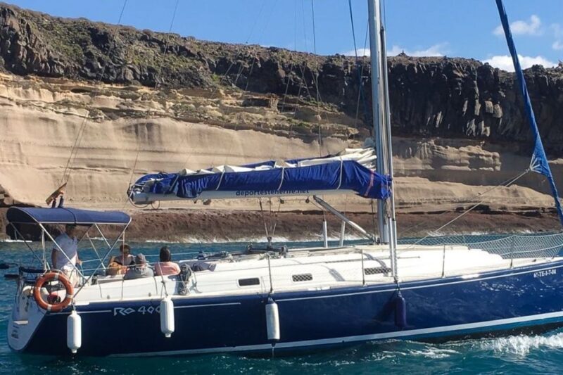 Tenerife: Luxury Private Whale & Dolphin Watching Tour - Final Thoughts