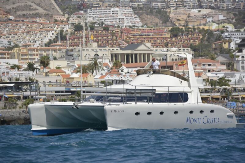 Tenerife: Marine-Life Tour with Transfer, Buffet and Drinks - Why Travelers Love This Experience