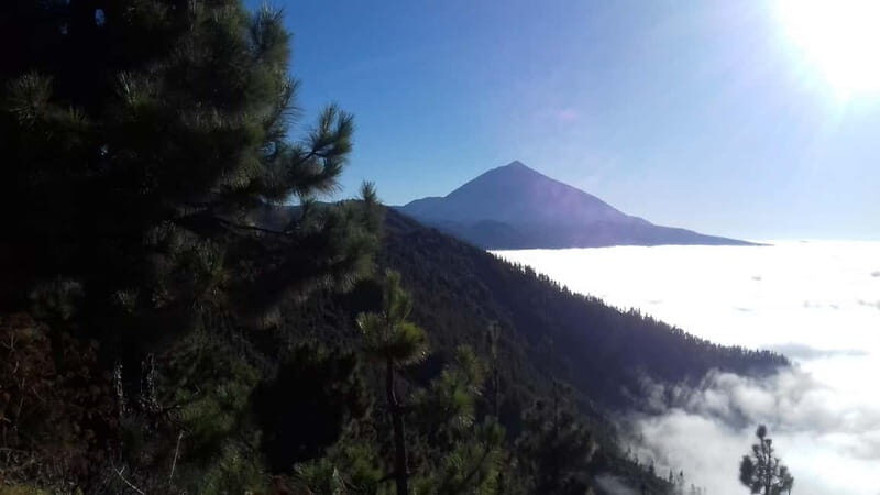 Tenerife: mindfulness experience for well-being - Tenerife: Mindfulness Experience for Well-Being — An Honest Review