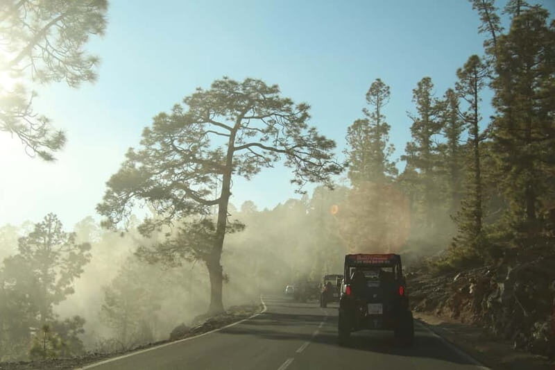 Tenerife: MORNING - 3H Buggy tour of Teide - What the Reviews Say: Authentic Traveler Feedback