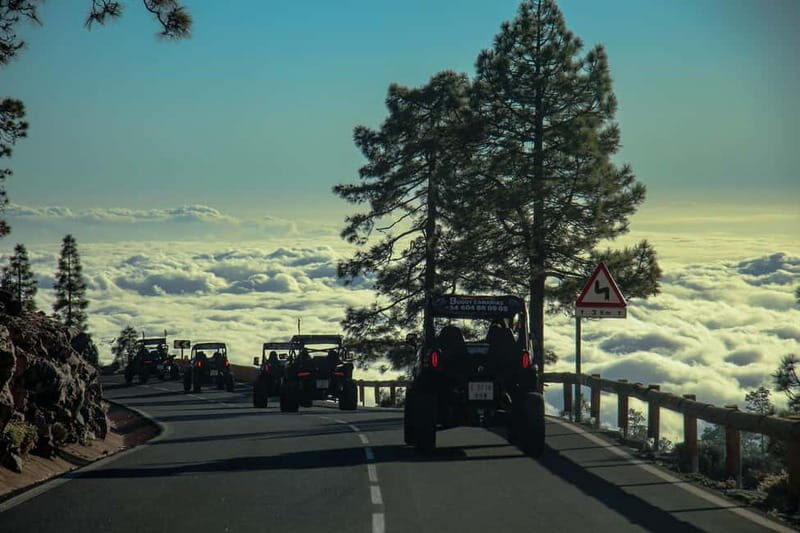 Tenerife: MORNING - Family 4seats Buggy tour of Teide - Frequently Asked Questions