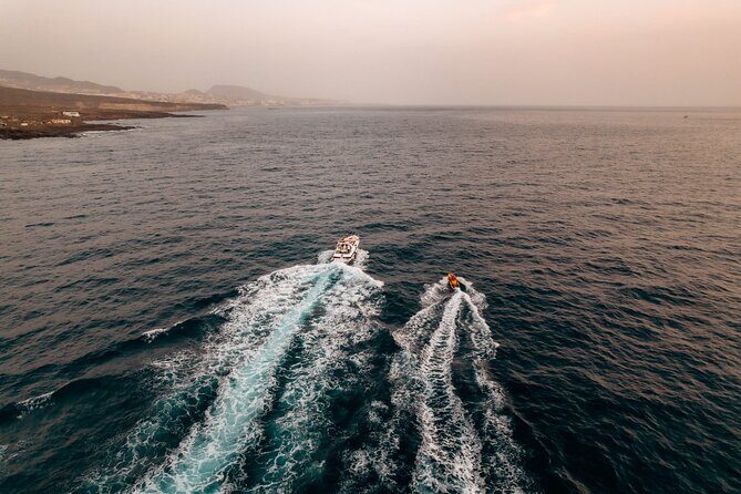 Tenerife Motor Boat Whale Watching & Snorkeling Experience - Overall Experience: Pros and Cons