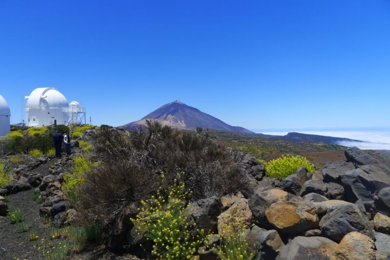 Tenerife: Mount Teide Observatory Astronomical Tour - The Afternoon at the Observatory