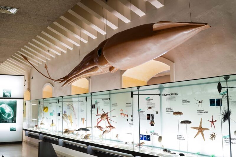 Tenerife: MUNA Museum Admission Ticket and Teide Legend Tour - Key Points
