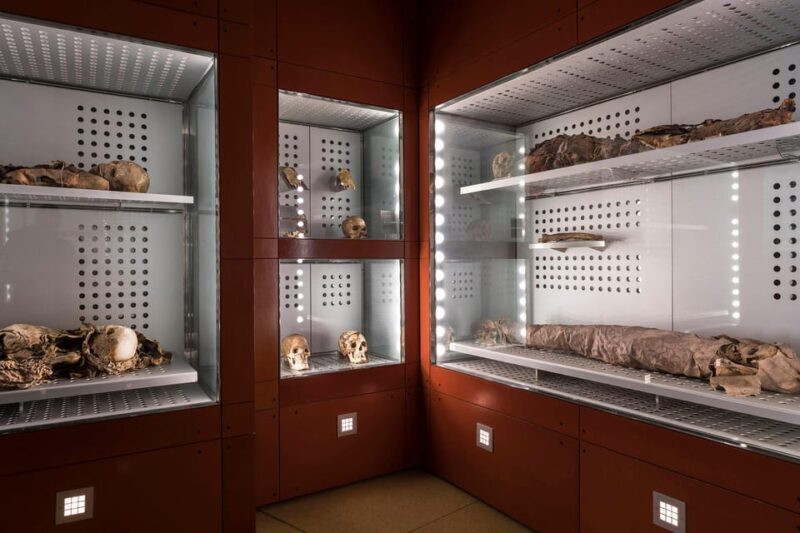 Tenerife: MUNA Museum Admission Ticket and Teide Legend Tour - Logistics and Accessibility