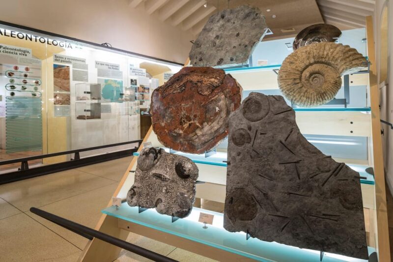Tenerife: MUNA Museum Admission Ticket and Teide Legend Tour - Reviews and Real Traveler Feedback
