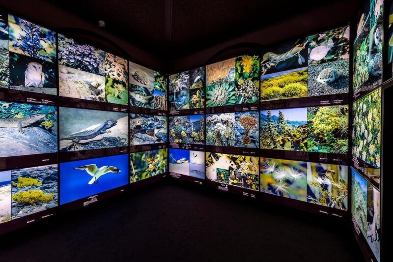Tenerife: MUNA Museum Admission Ticket and Teide Legend Tour - The Sum Up: Who Is This Tour Best For?
