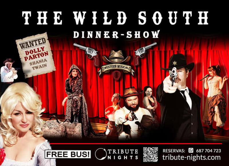 Tenerife : Musical show "the wild south" with dinner and transfer - What’s the value here?