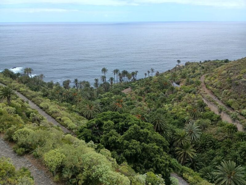Tenerife: North Coast Landscapes Private Day Tour - What is included and what to expect
