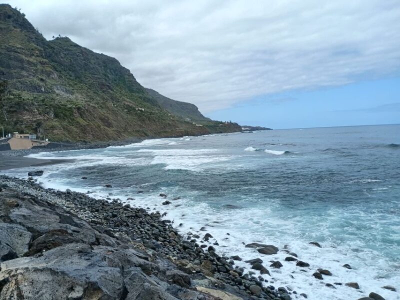 Tenerife: North Coast Landscapes Private Day Tour - The experience from reviews