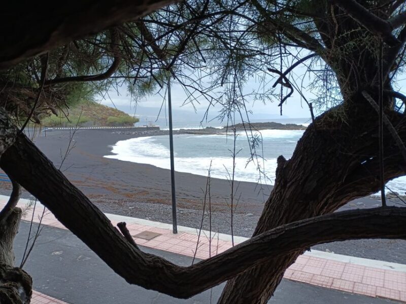 Tenerife: North Coast Landscapes Private Day Tour - Who should consider this tour?