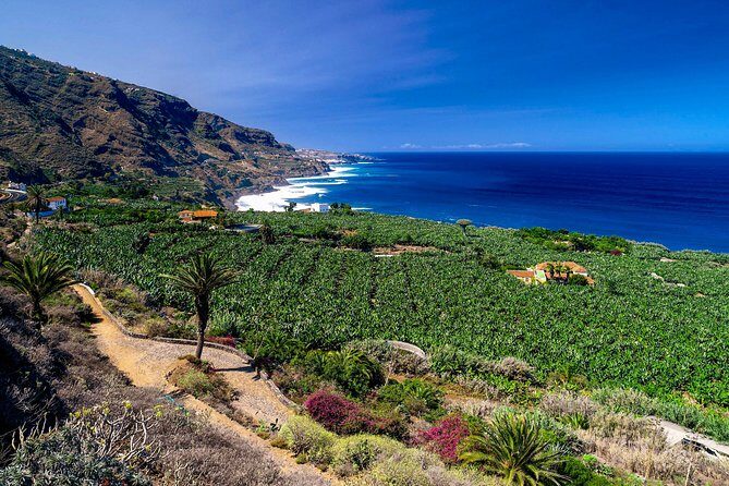 Tenerife North Private Tour: Through Villages and Ports - Introduction